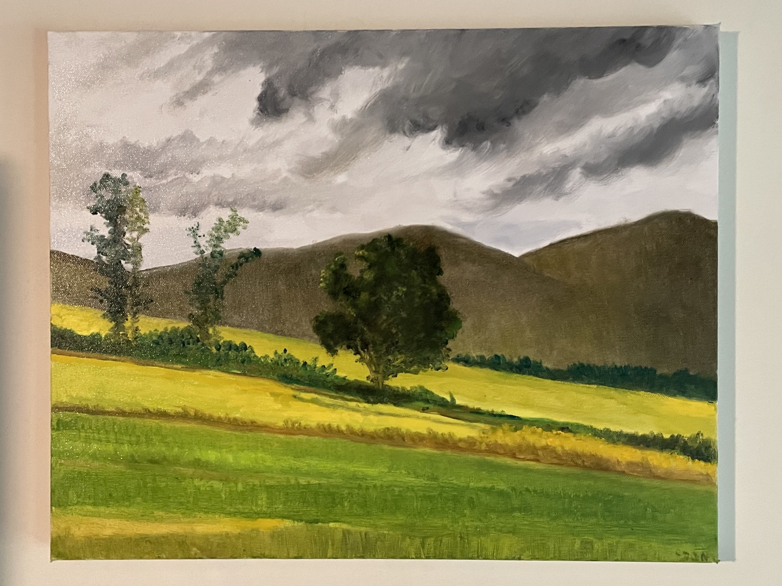 Home - Richard McBee Artist and Writer - Richard McBee